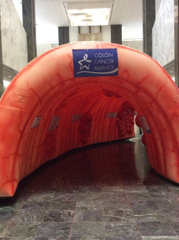 New York Brings Giant, Inflatable Colon to State Capitol | American ...